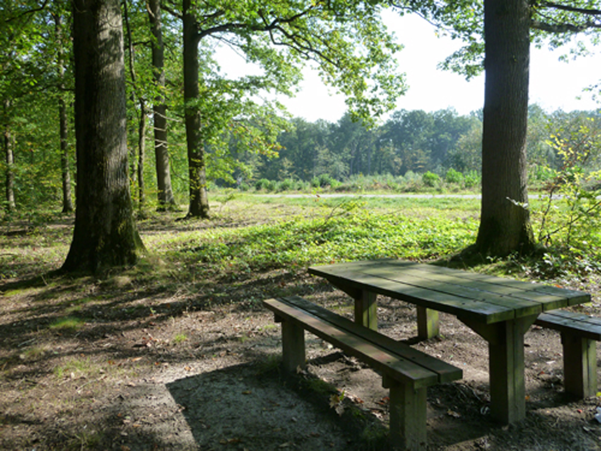 La forêt de Marly - Destination Yvelines