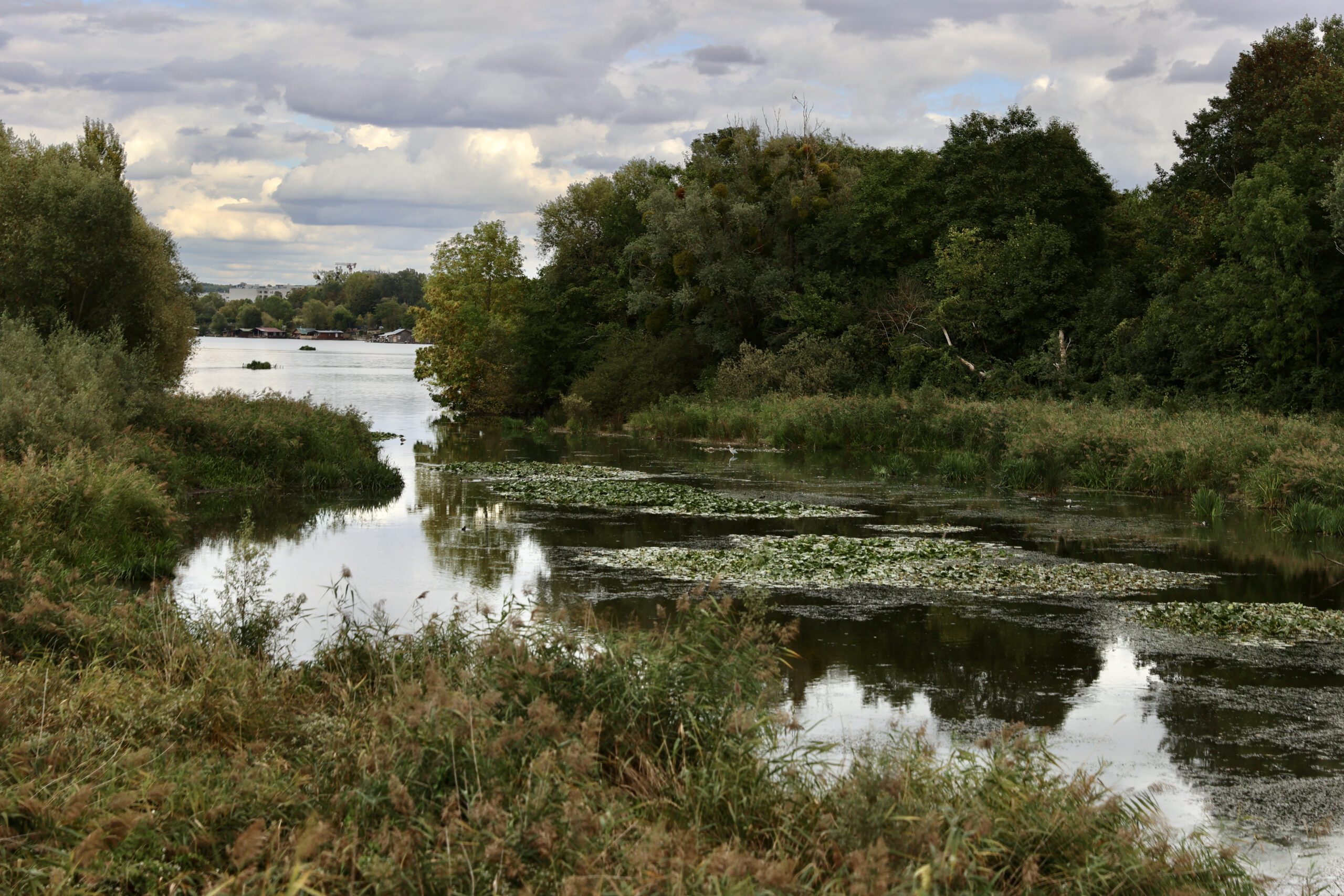 Le Parc départemental du Peuple de l'herbe - Destination Yvelines